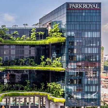 Contruction & Building Materials Supplier Singapore | ARDEX-QUICSEAL